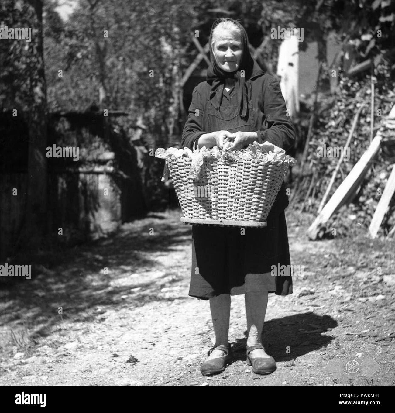 This image shows 'Berac,' a special basket for carrying salads and ...