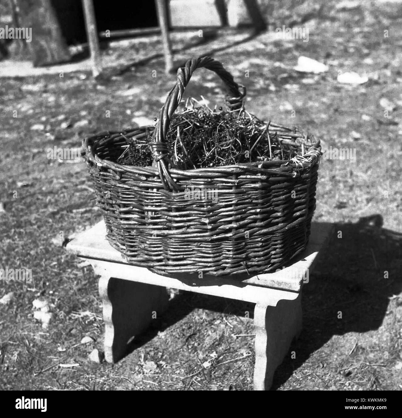 A photograph from 1958 showing 'Cajna' (a traditional figure) from the ...