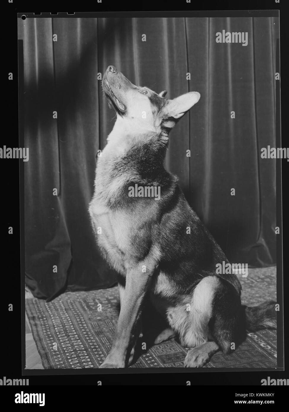 'Chief' tilhører Aril Wahlstrøm - no-nb digifoto 20160713 00155 NB MIT ...
