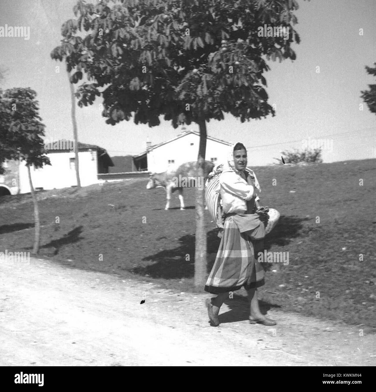 People community work activity Black and White Stock Photos & Images ...