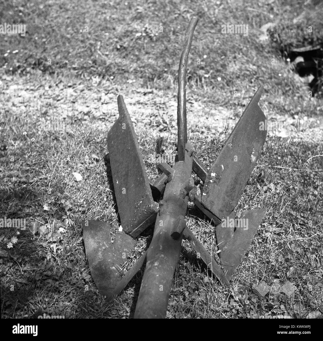 Orat High Resolution Stock Photography and Images - Alamy