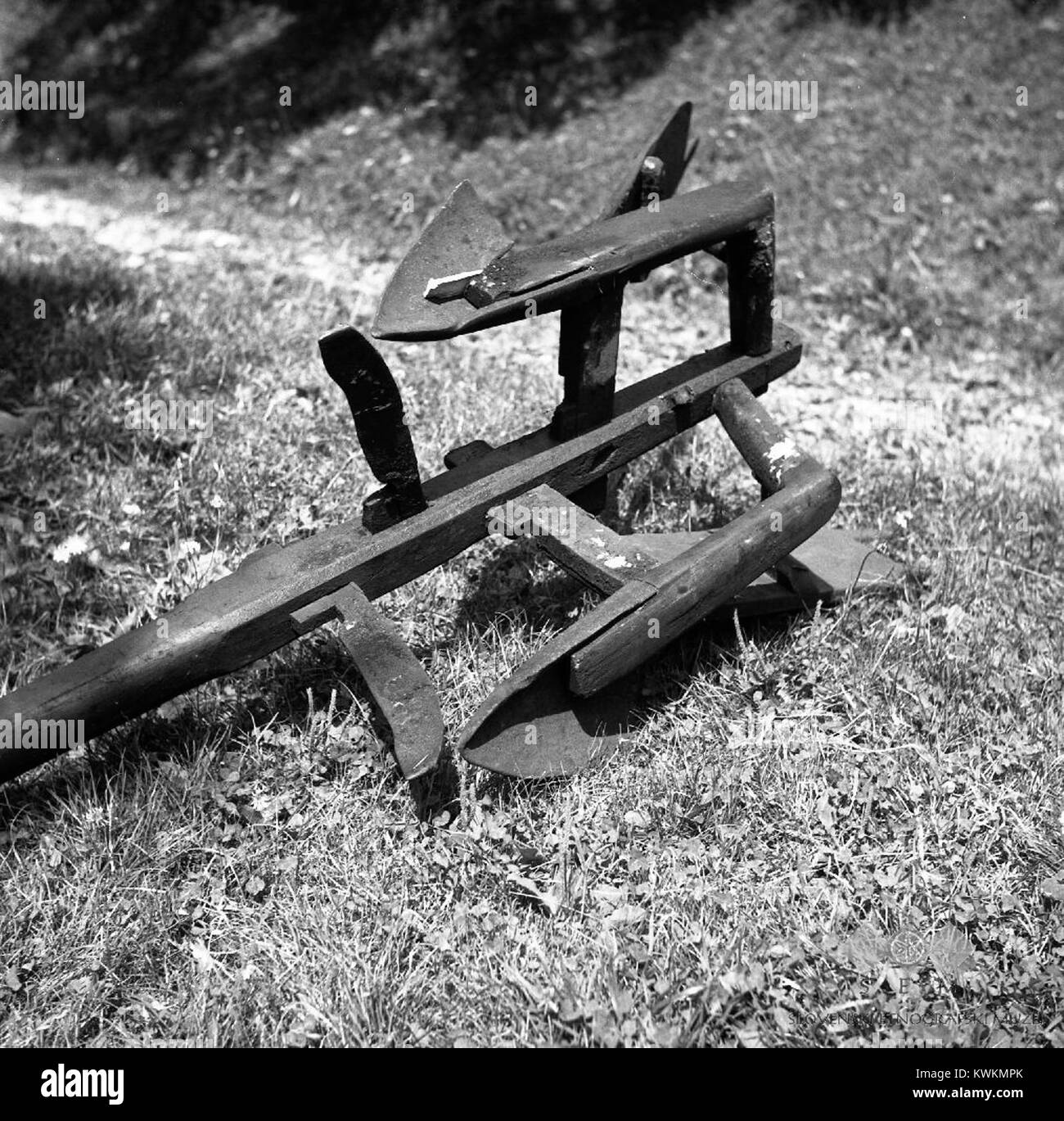 Orat High Resolution Stock Photography and Images - Alamy