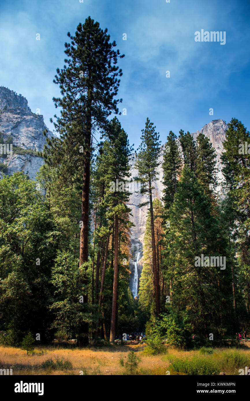 Scenic view of waterfall against mountains amidst forest at Yosemite ...