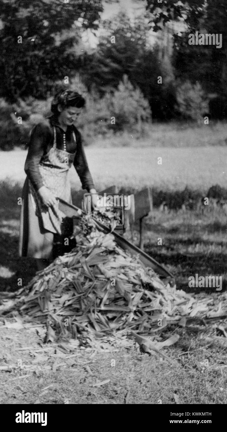 Fodder cattle Black and White Stock Photos & Images - Alamy