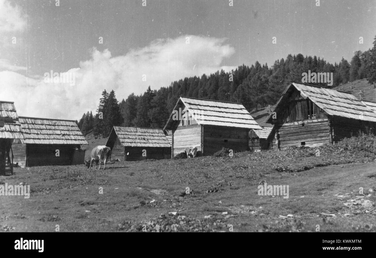 Stanovi hi-res stock photography and images - Alamy