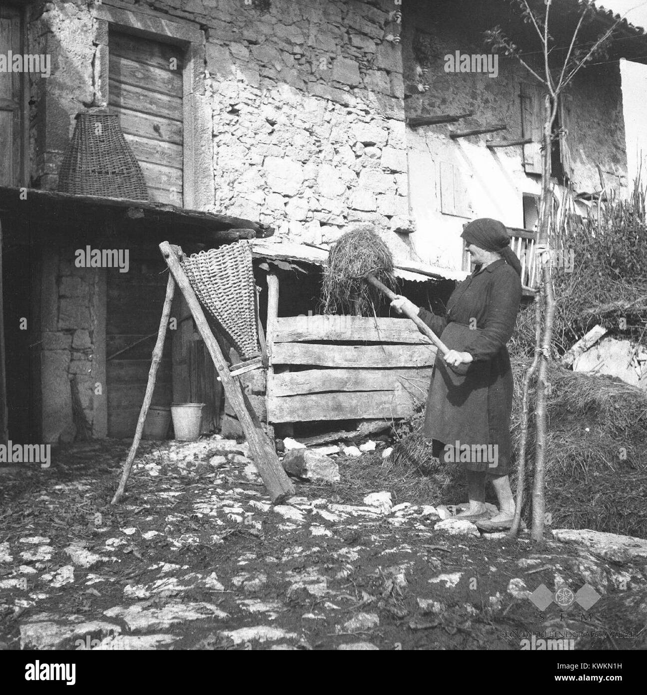 A 1951 photograph from Robidišče, Slovenia, showing farmers loading ...