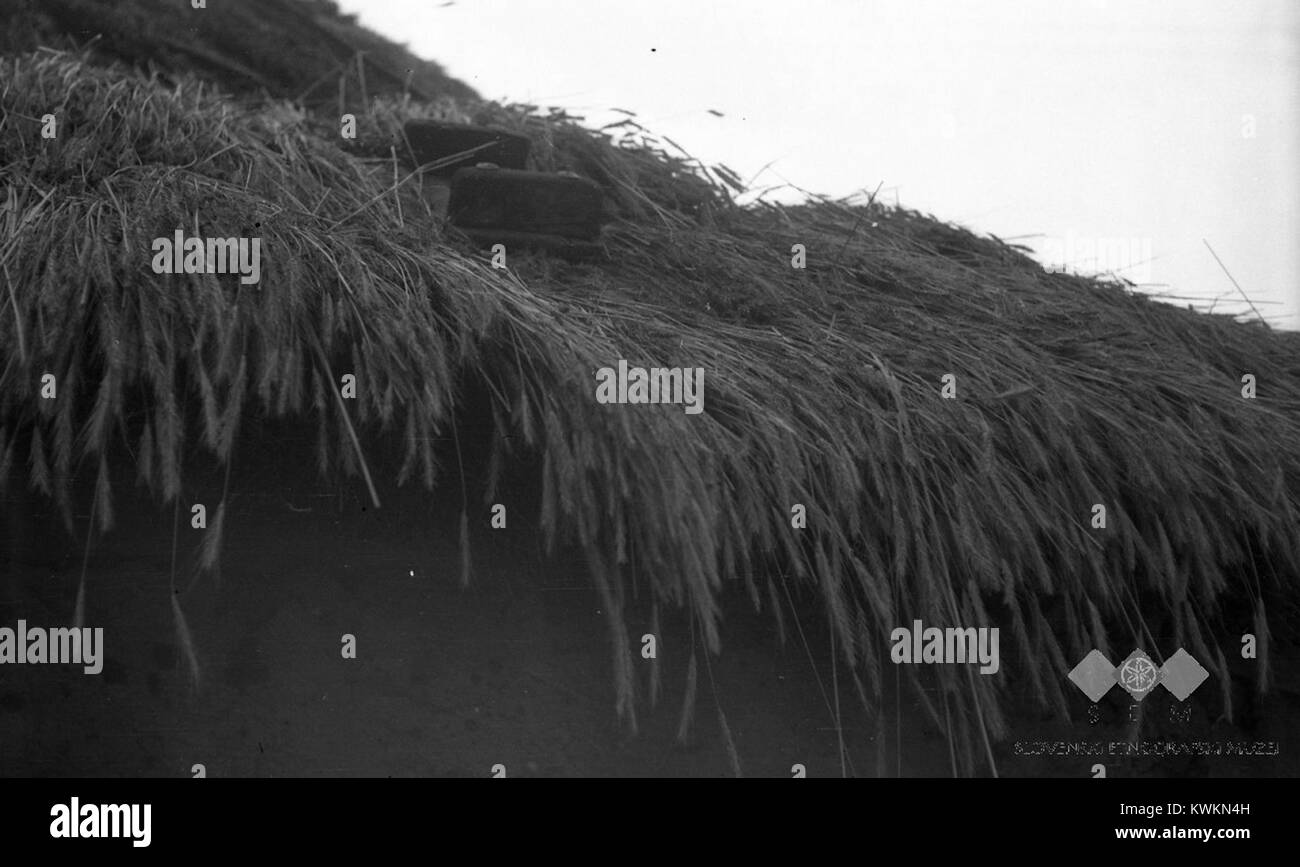A photograph showing a traditional thatching tool ('hlapsc') used to ...