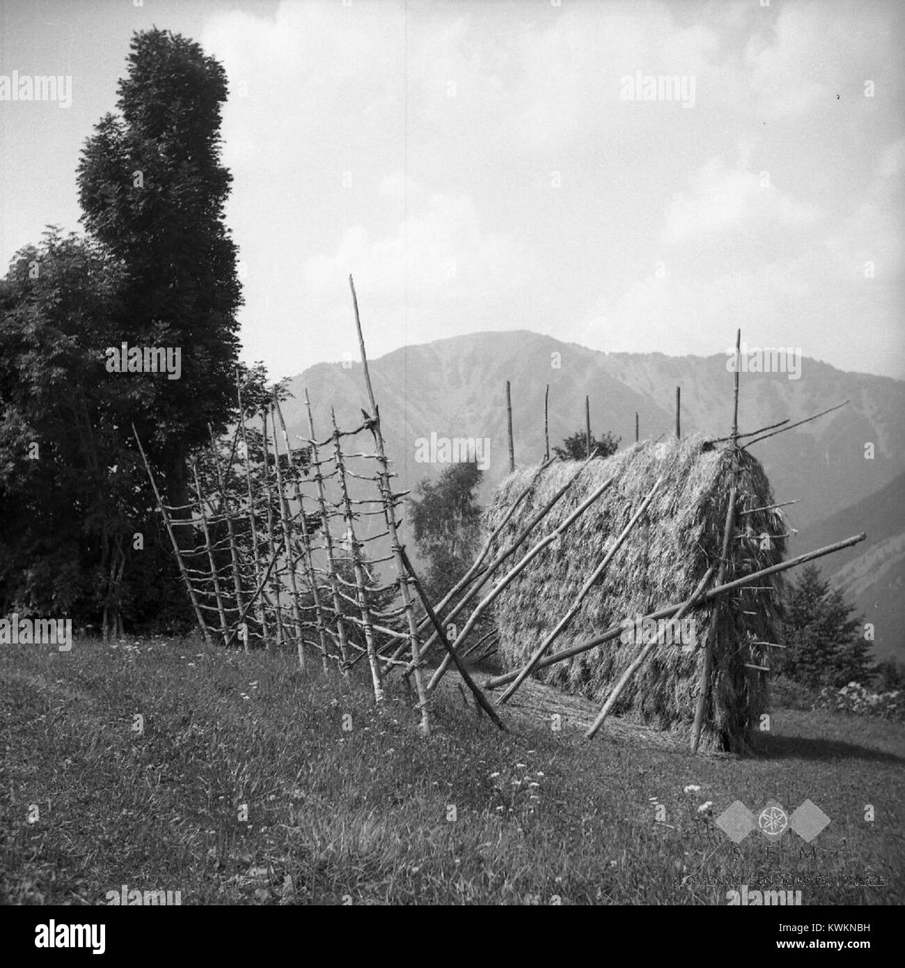 Kozolci High Resolution Stock Photography and Images - Alamy