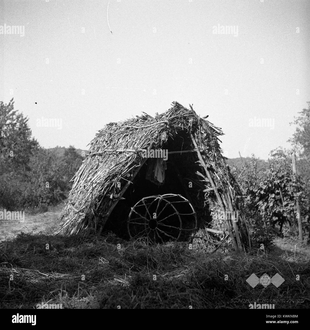 This is a 1953 image of 'Kazon' from Slomberk, illustrating the ...