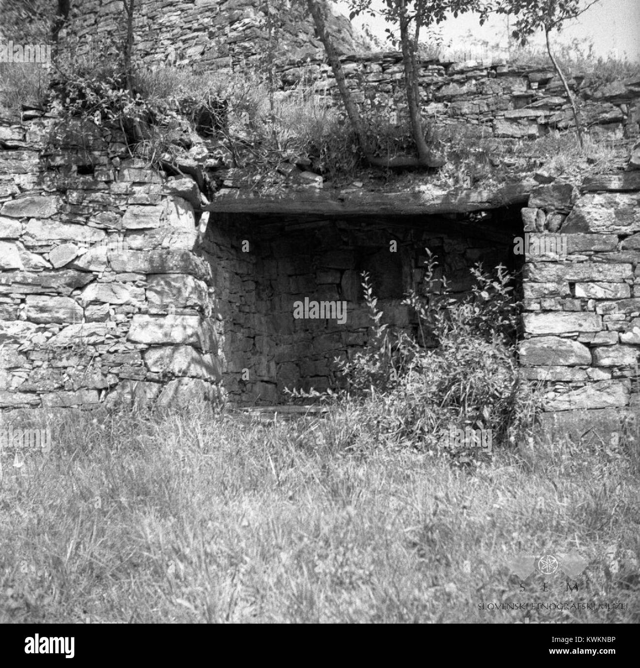 Vinogradu hi-res stock photography and images - Alamy