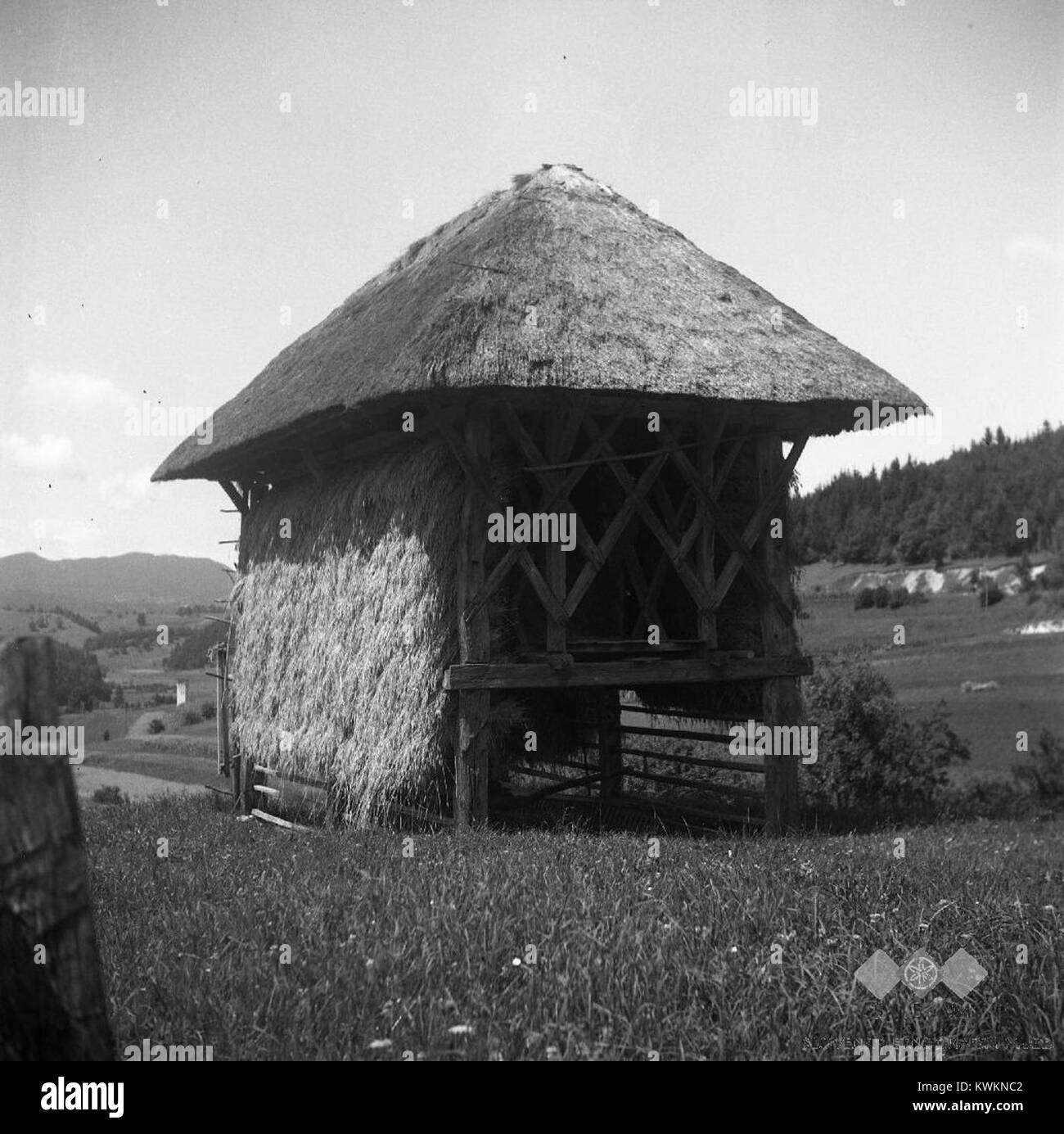 Kazuc hi-res stock photography and images - Alamy