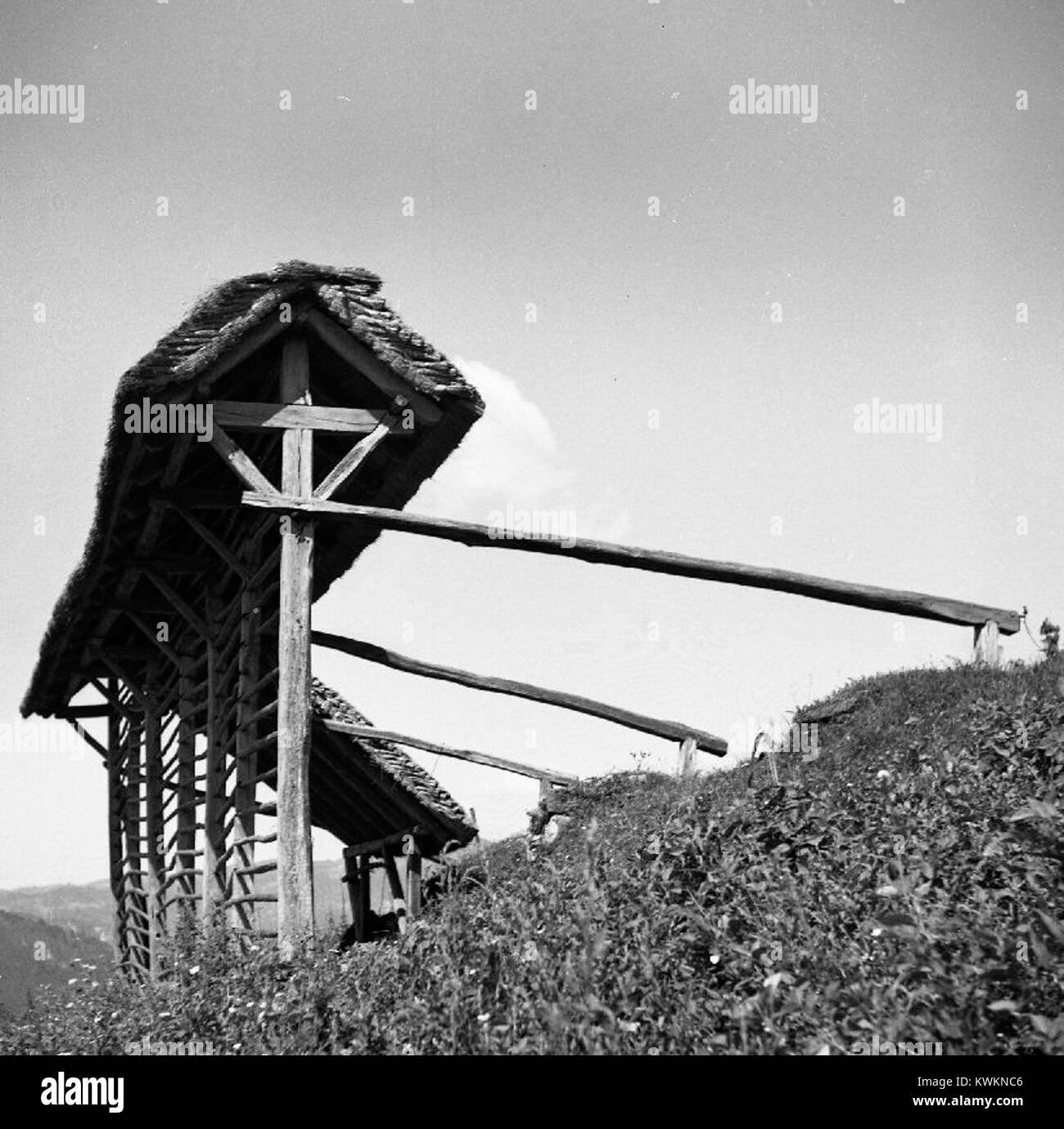 A cropped photograph of a 'Kazuc' (kozolec), a traditional hayrack from ...