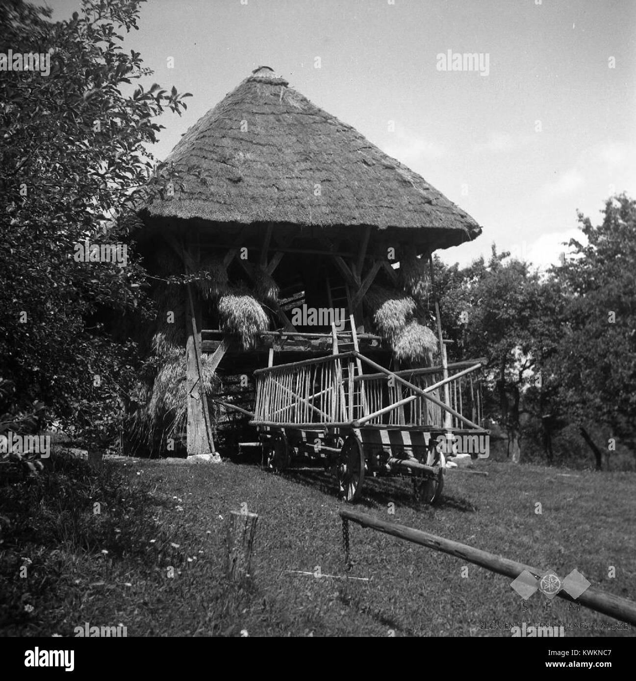 The image shows a 'kazuc' and a cart with 'šaragle' in Podkraj in 1960 ...