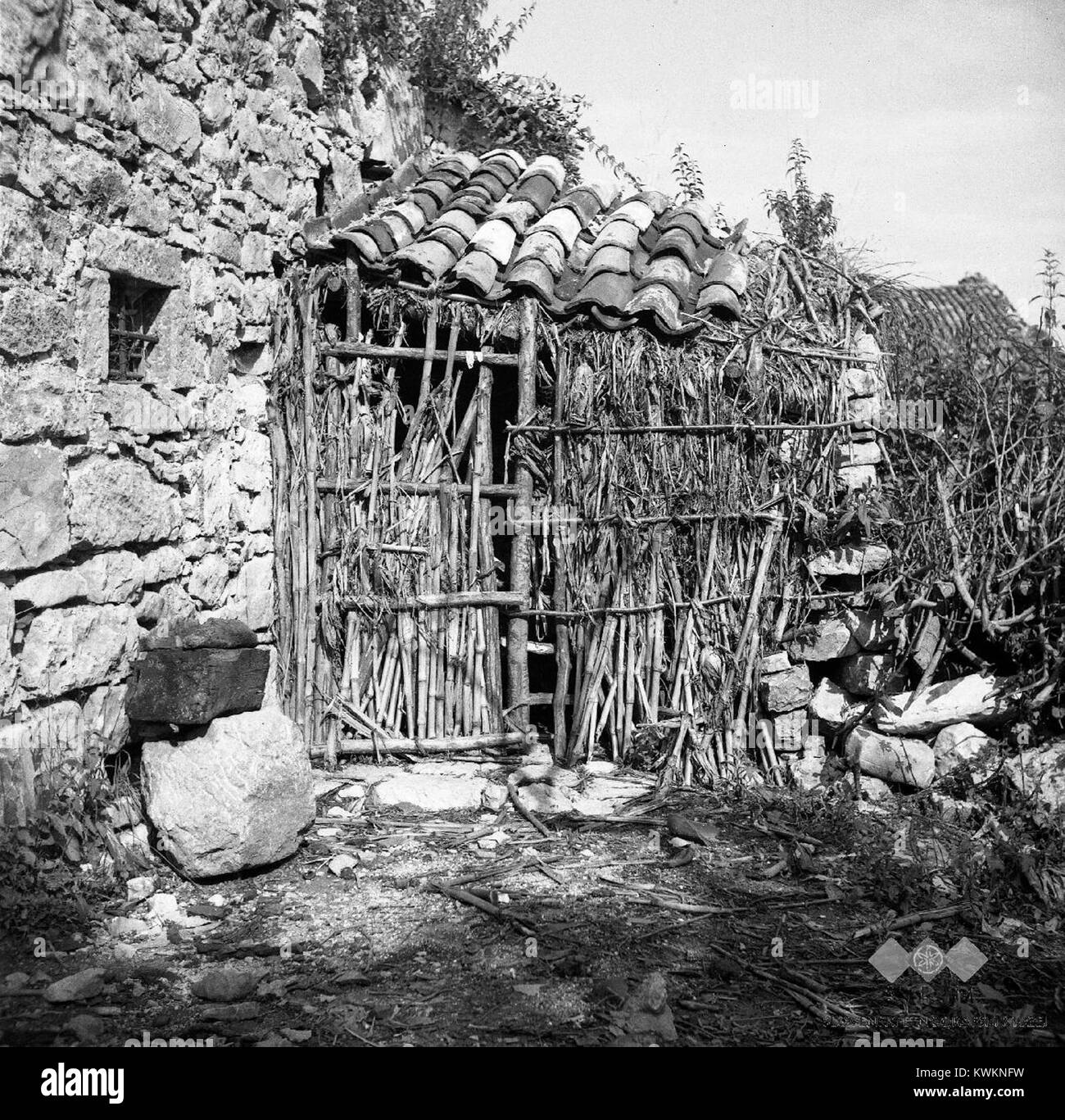 Kolet hi-res stock photography and images - Alamy