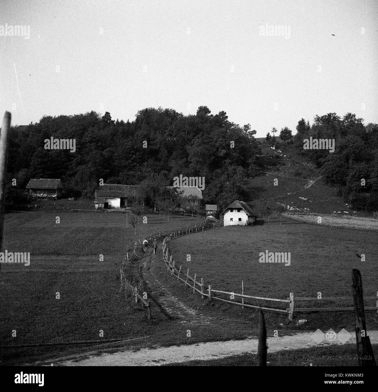 *Kravje ulice* in Podborst, Slovenia, captures an image of rural life ...
