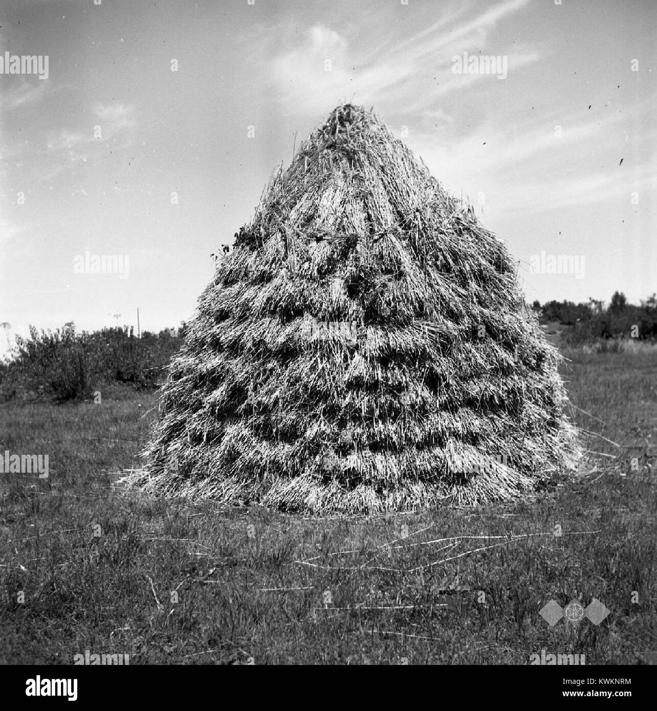 Materija hi-res stock photography and images - Alamy