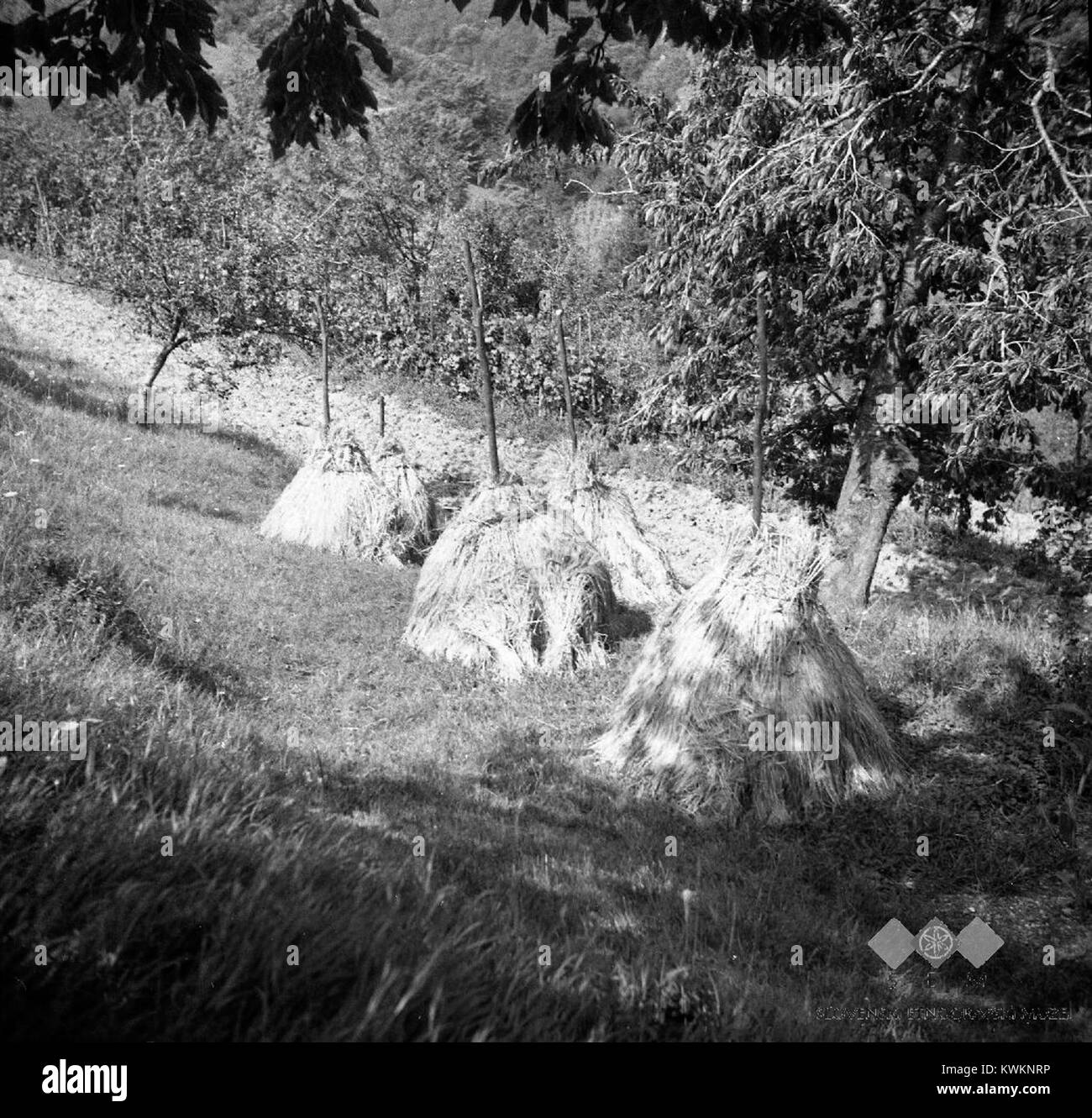 Louce High Resolution Stock Photography and Images - Alamy