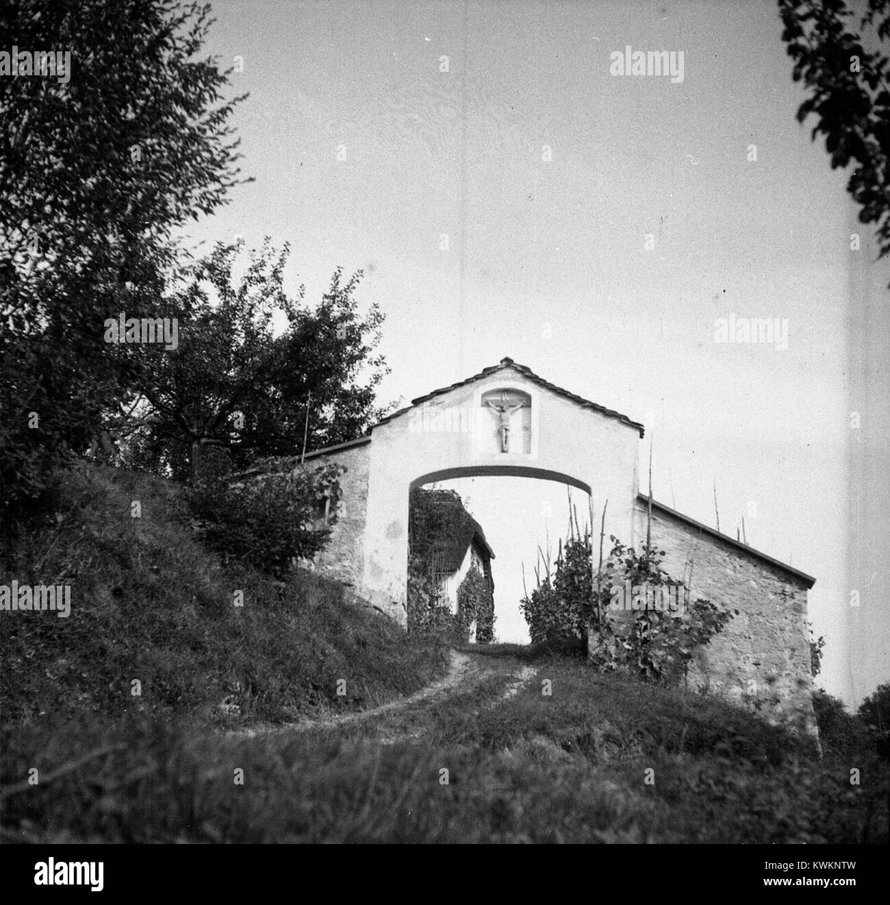 This photograph from 1951 shows the entrance to Majcnov Vineyard ...