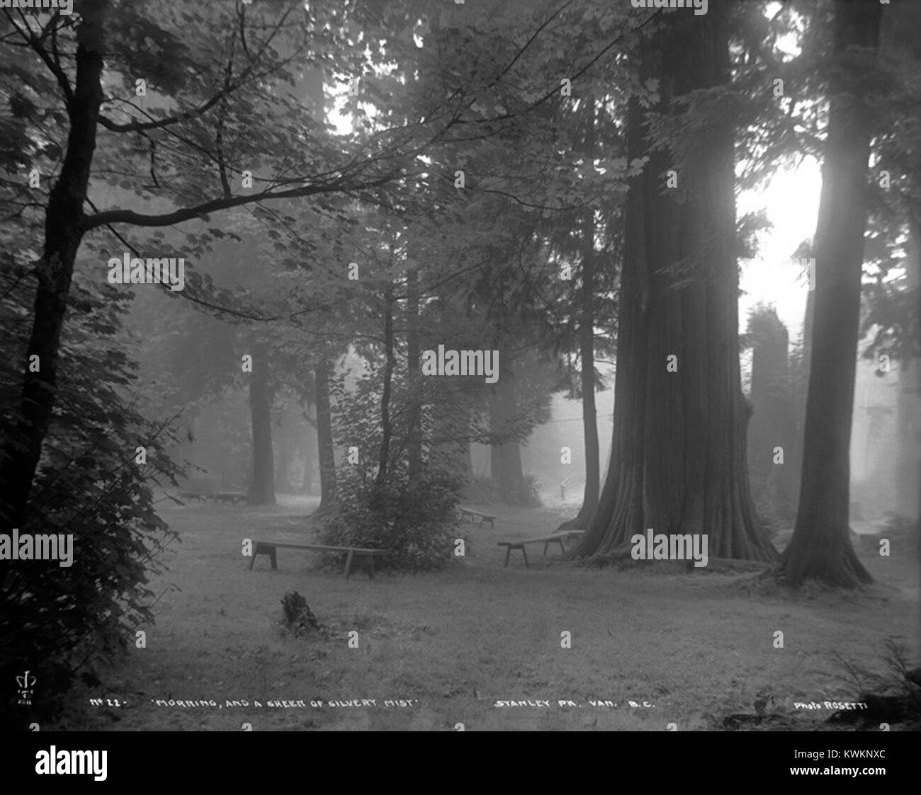 Tranquil view stanley park Black and White Stock Photos & Images - Alamy
