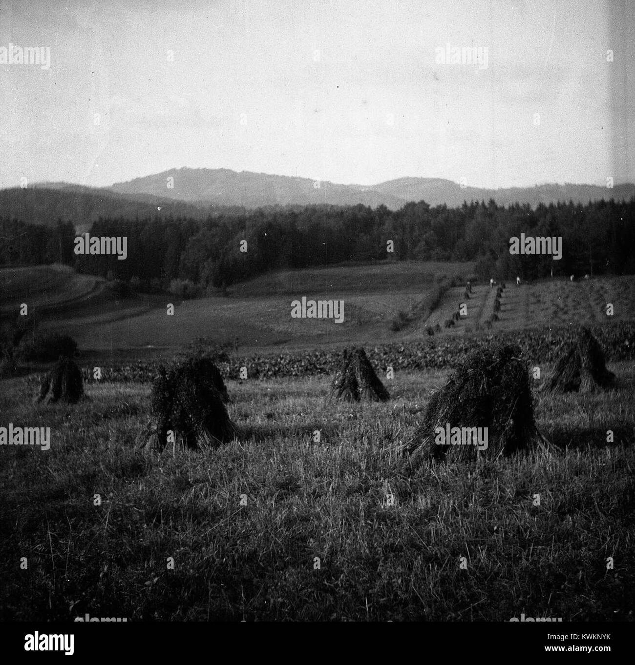 Image shows rural field Black and White Stock Photos & Images - Alamy