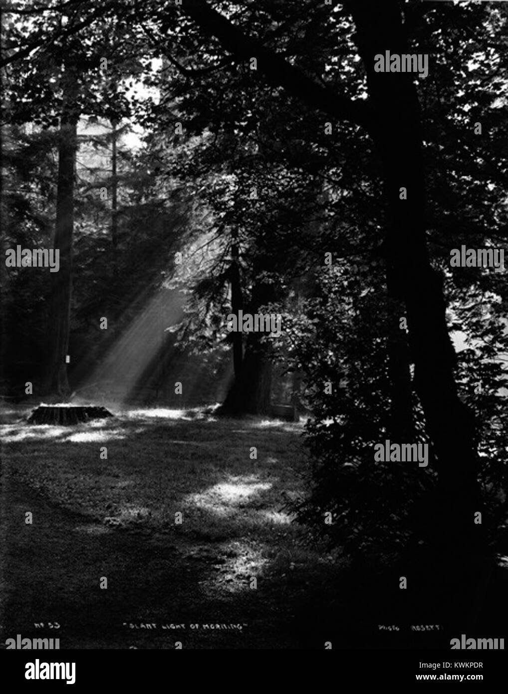 Early morning in park Black and White Stock Photos & Images - Alamy