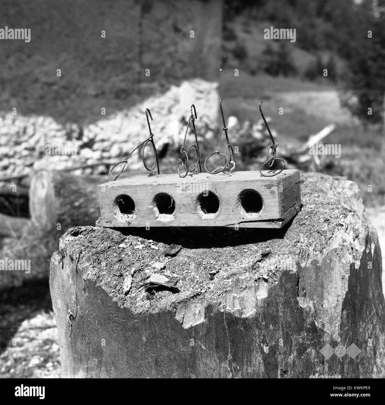 This 1959 photograph from Zadlog, Slovenia, documents the making of ...
