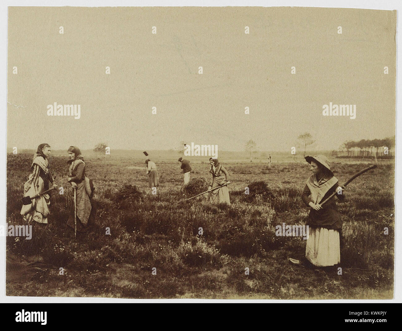 Heather history historical hi-res stock photography and images - Alamy