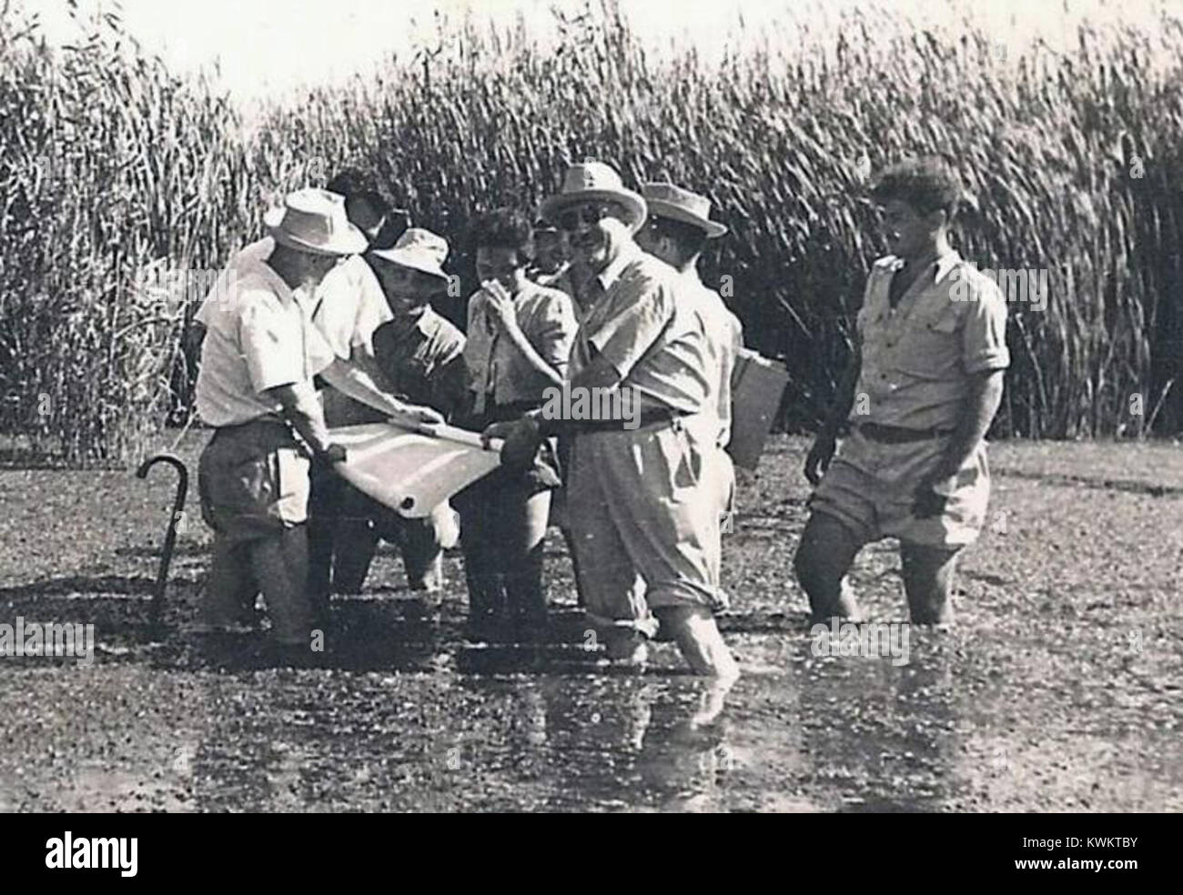 Janco hi-res stock photography and images - Alamy