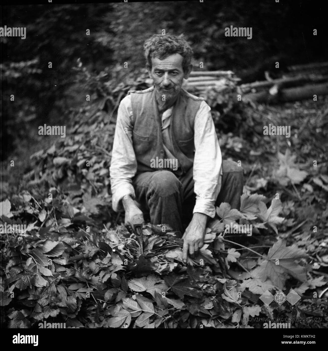 Janez podobnik hi-res stock photography and images - Alamy