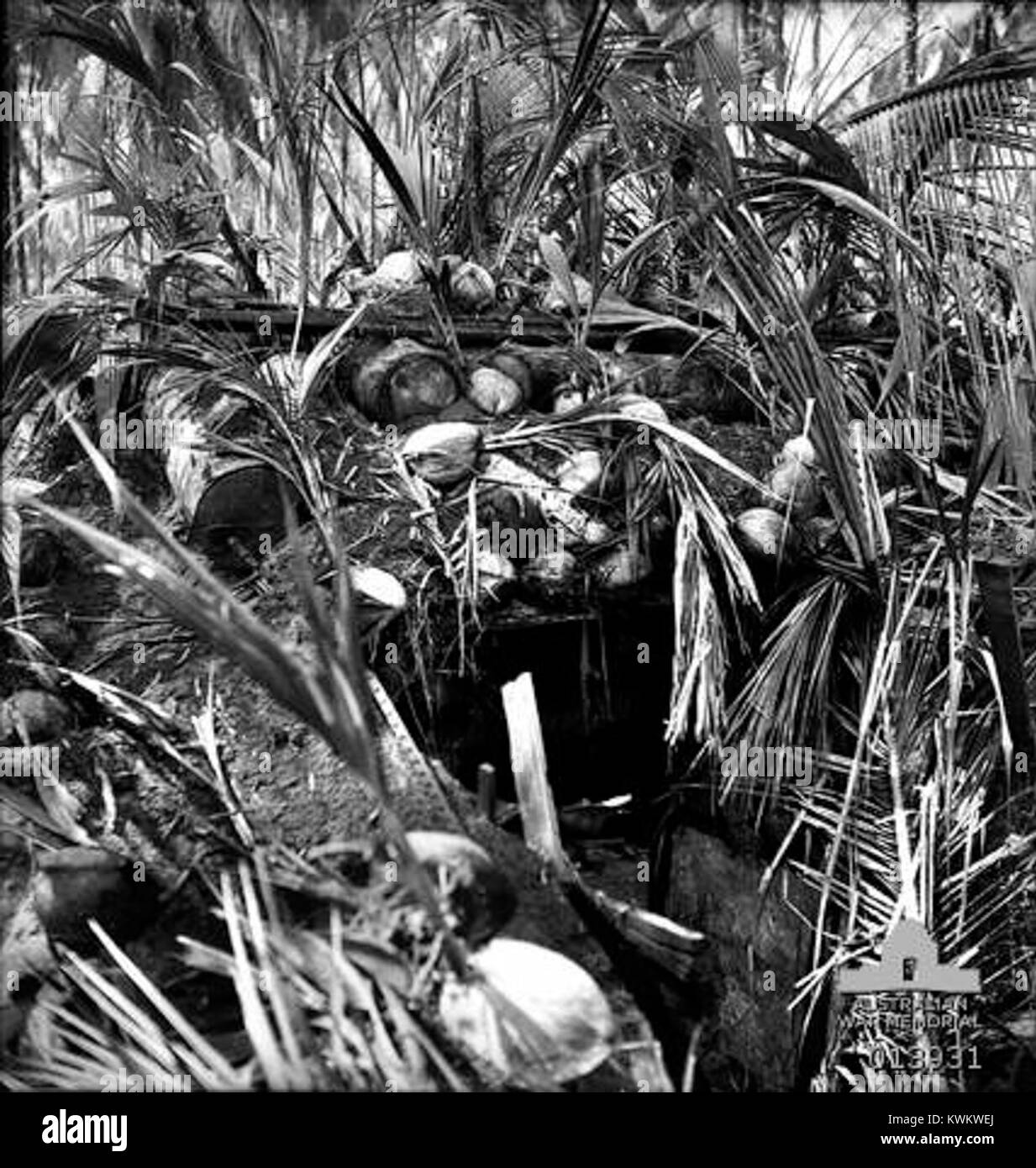A World War II-era Japanese bunker in the Buna region of Papua New ...
