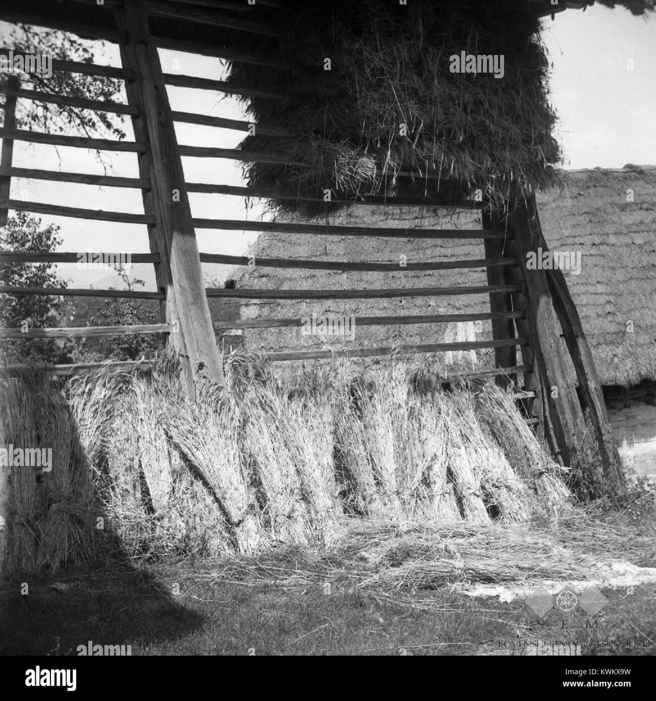Barley farming europe Black and White Stock Photos & Images - Alamy