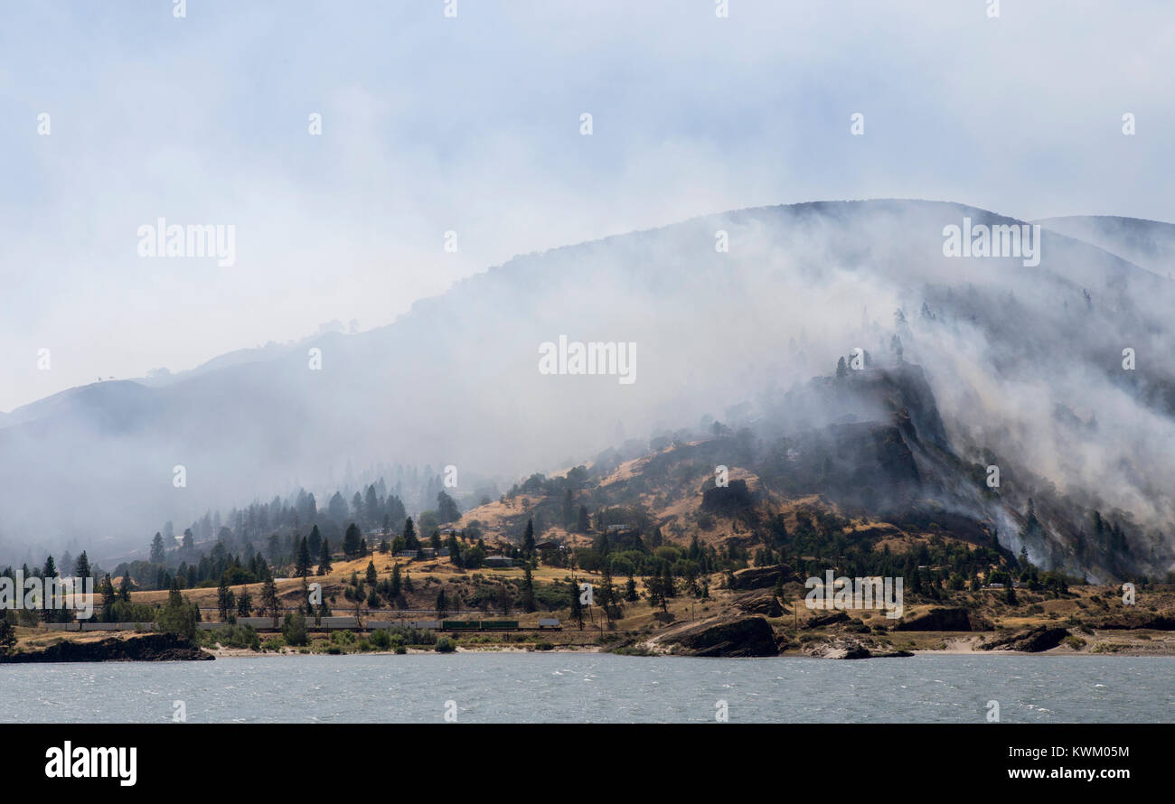 Smoke emitting from forest fire Stock Photo - Alamy