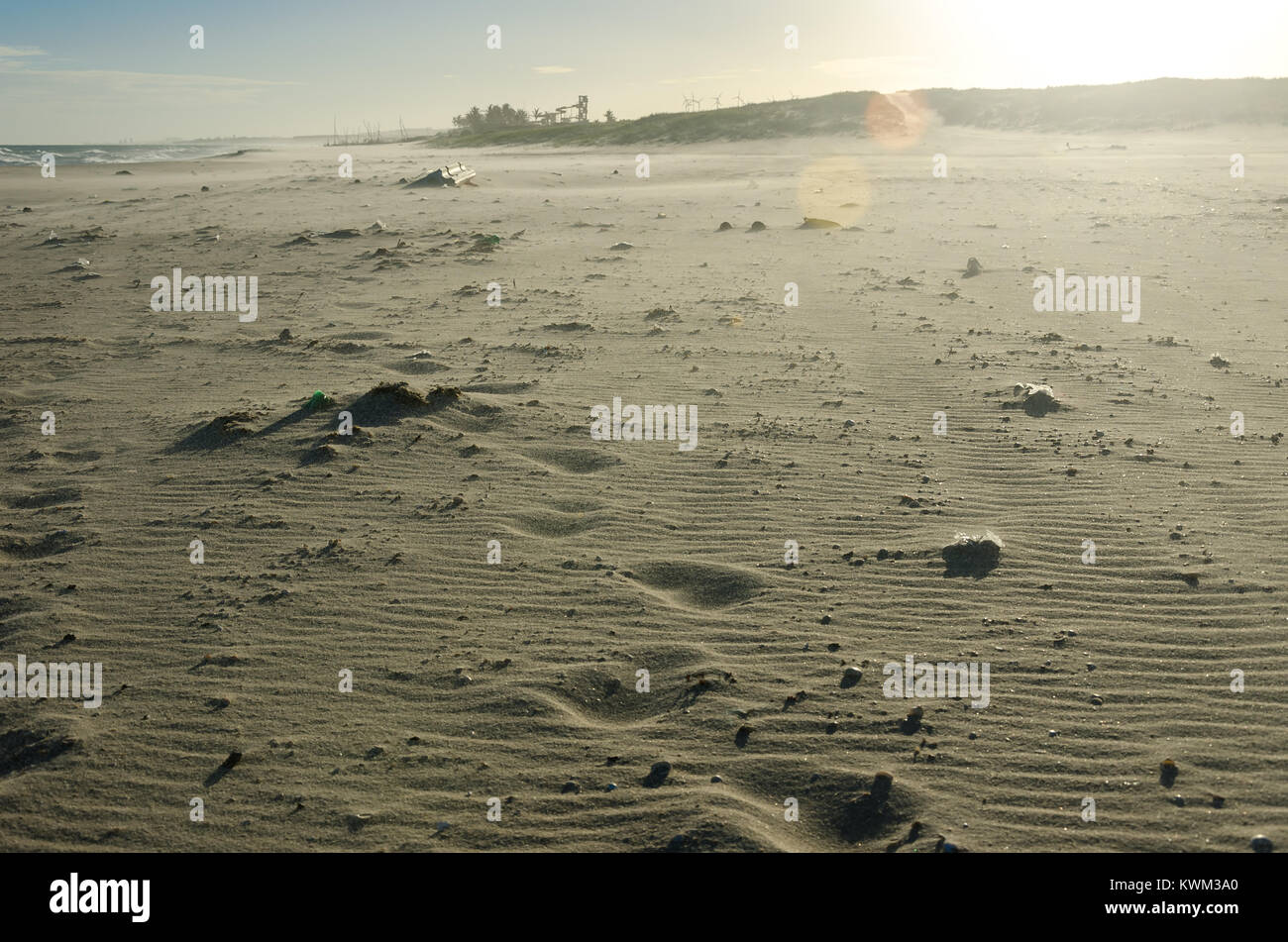 Crazy alien landscape beach terrain that look like a other planet Stock ...