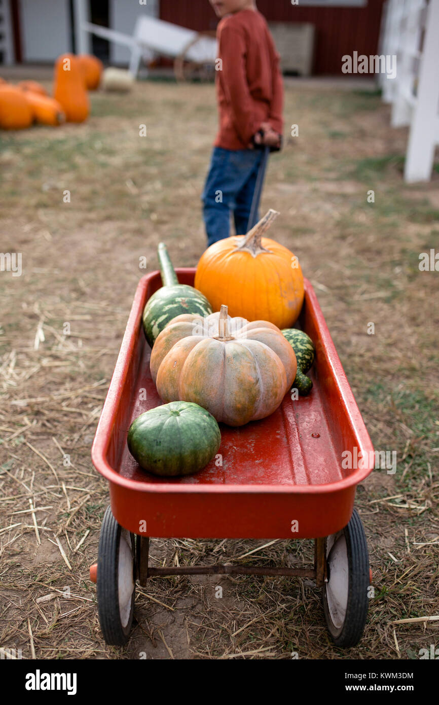 Boy pulling wagon hi-res stock photography and images - Alamy