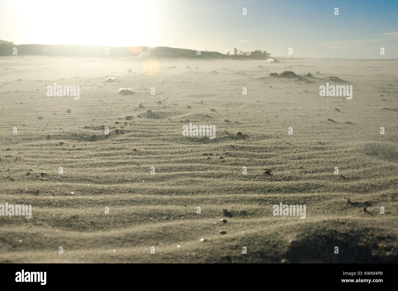 Crazy alien landscape beach terrain that look like a other planet Stock ...