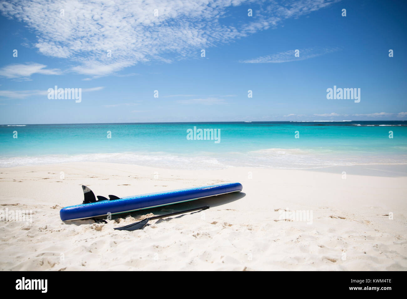 Paddleboard and oar at beach against sea Stock Photo - Alamy