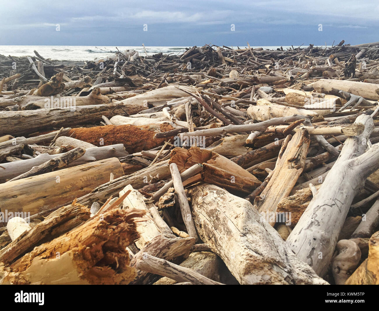 Logs at beach against cloudy sky Stock Photo - Alamy