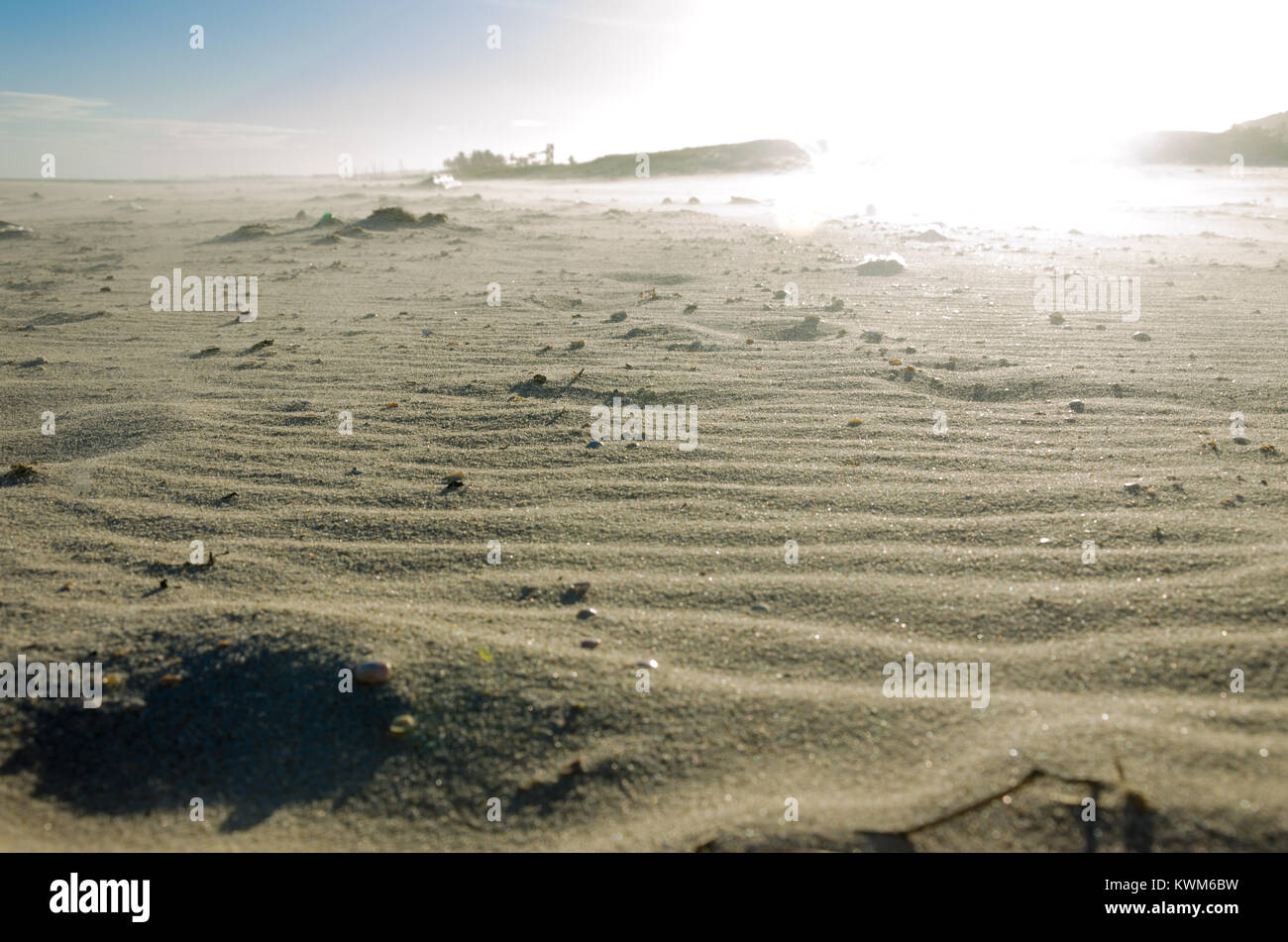 Due to strong wind hi-res stock photography and images - Alamy
