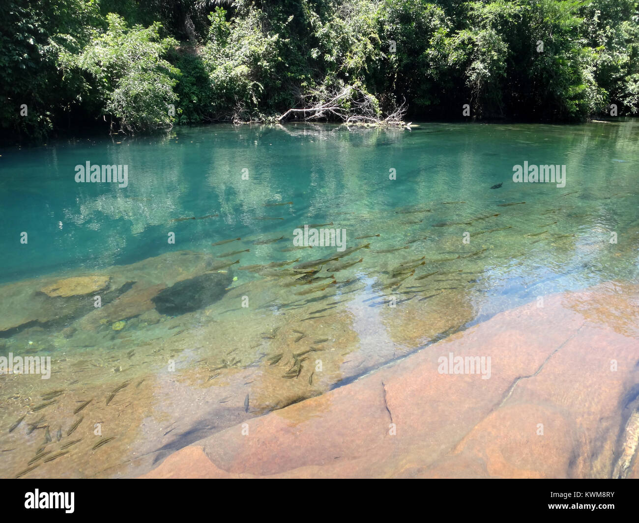 Bonito river hi-res stock photography and images - Alamy