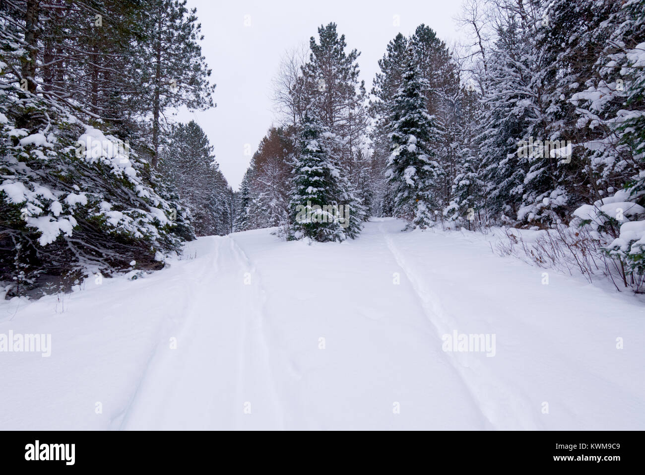 Snowmobile and ski trails in a Canadian winter scene Stock Photo - Alamy
