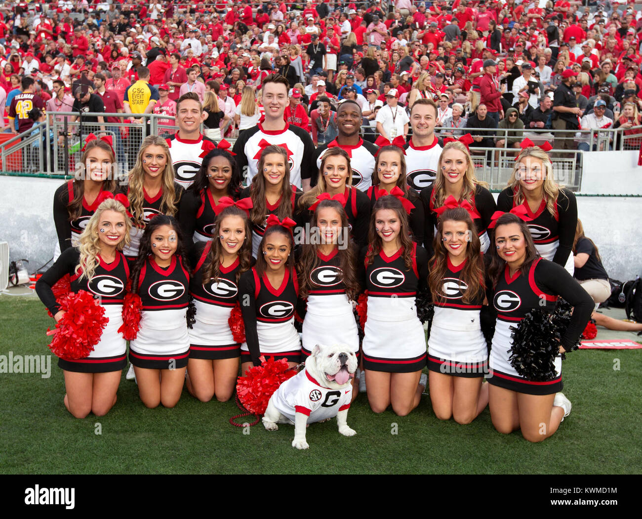 Uga Bulldogs Cheerleaders