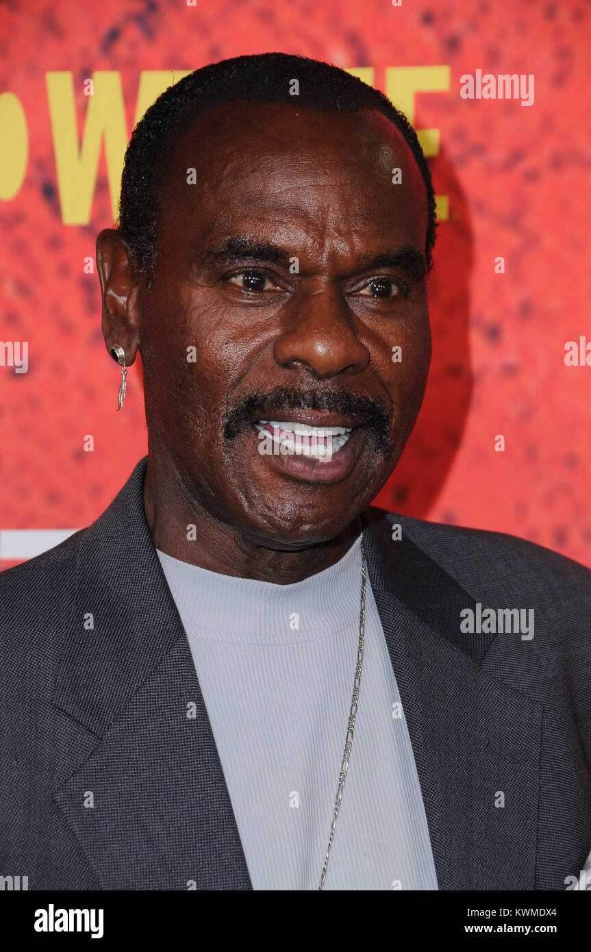 Stephen Williams Stock Photos & Stephen Williams Stock Images - Alamy