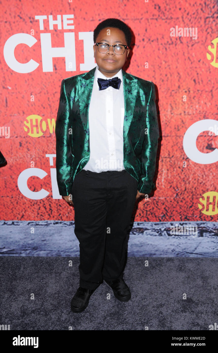 Los Angeles, CA, USA. 3rd Jan, 2018. Shamon Brown. Premiere of ...