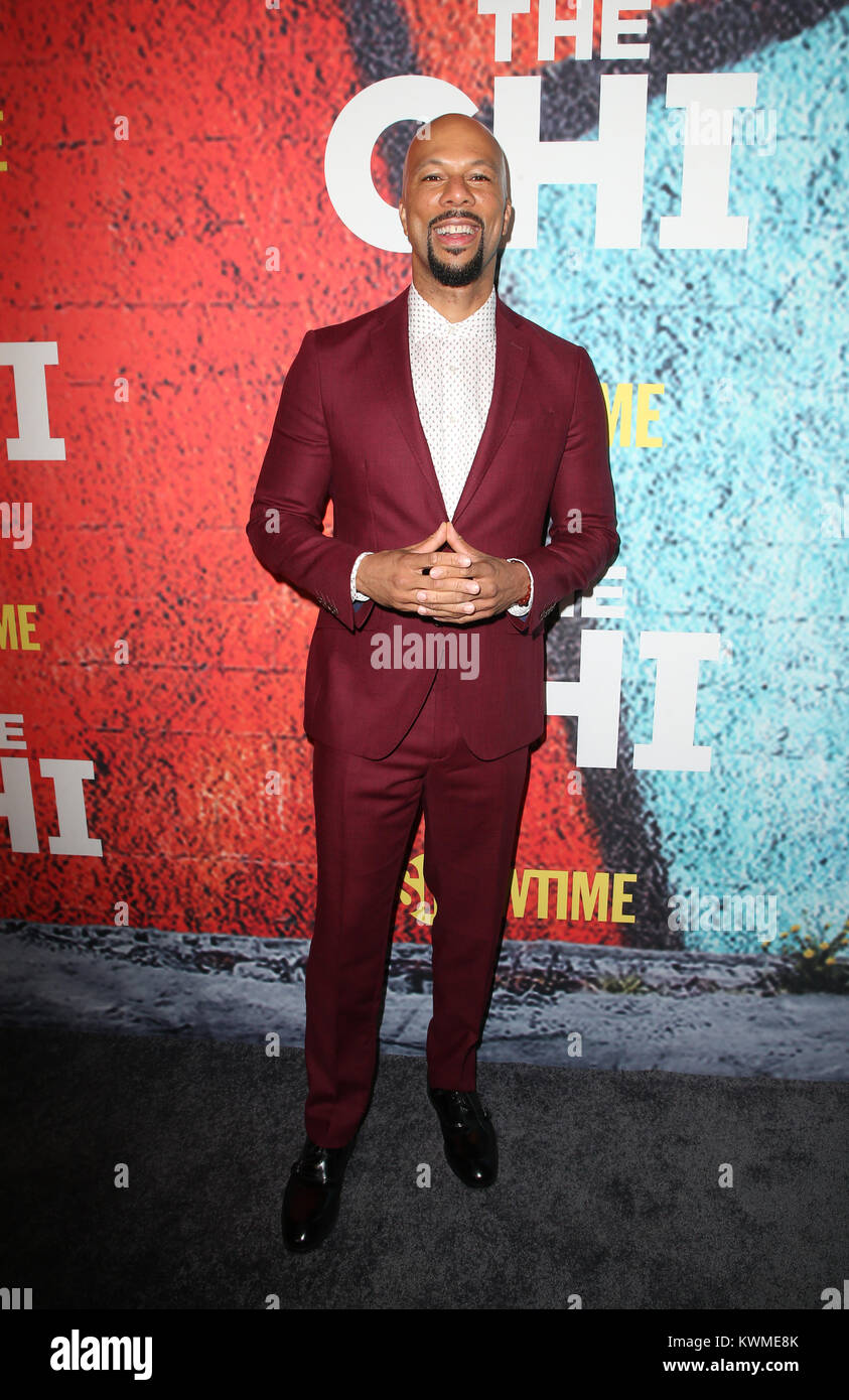 Los Angeles, Ca, USA. 3rd Jan, 2018. Common, at 29th Premiere Of ...