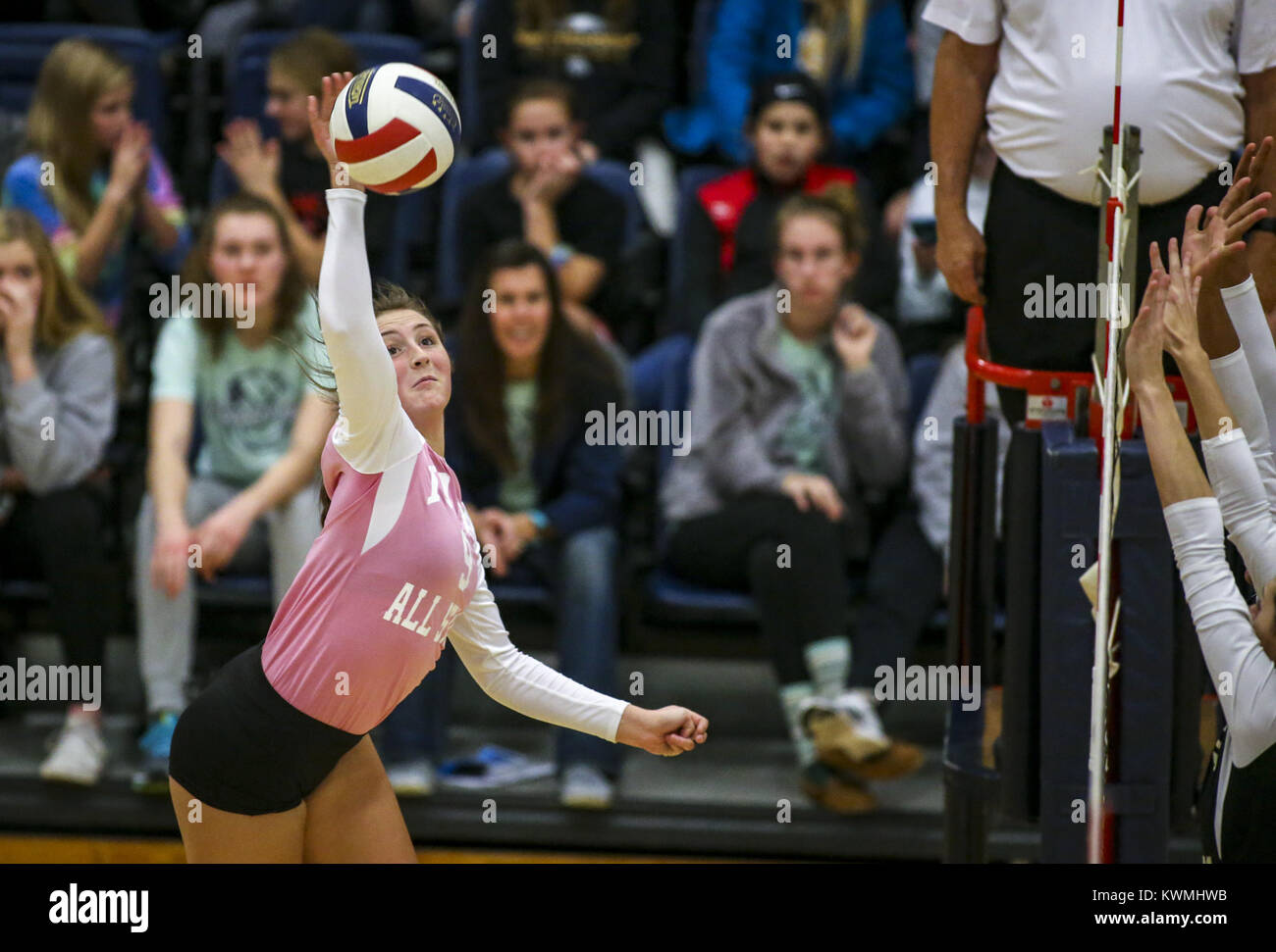 Vb net hi-res stock photography and images - Alamy