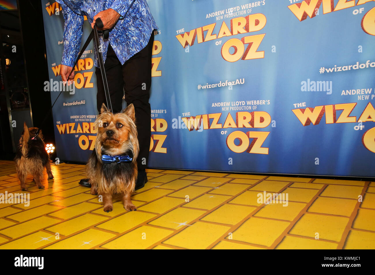 Australian capitol hi-res stock photography and images - Alamy