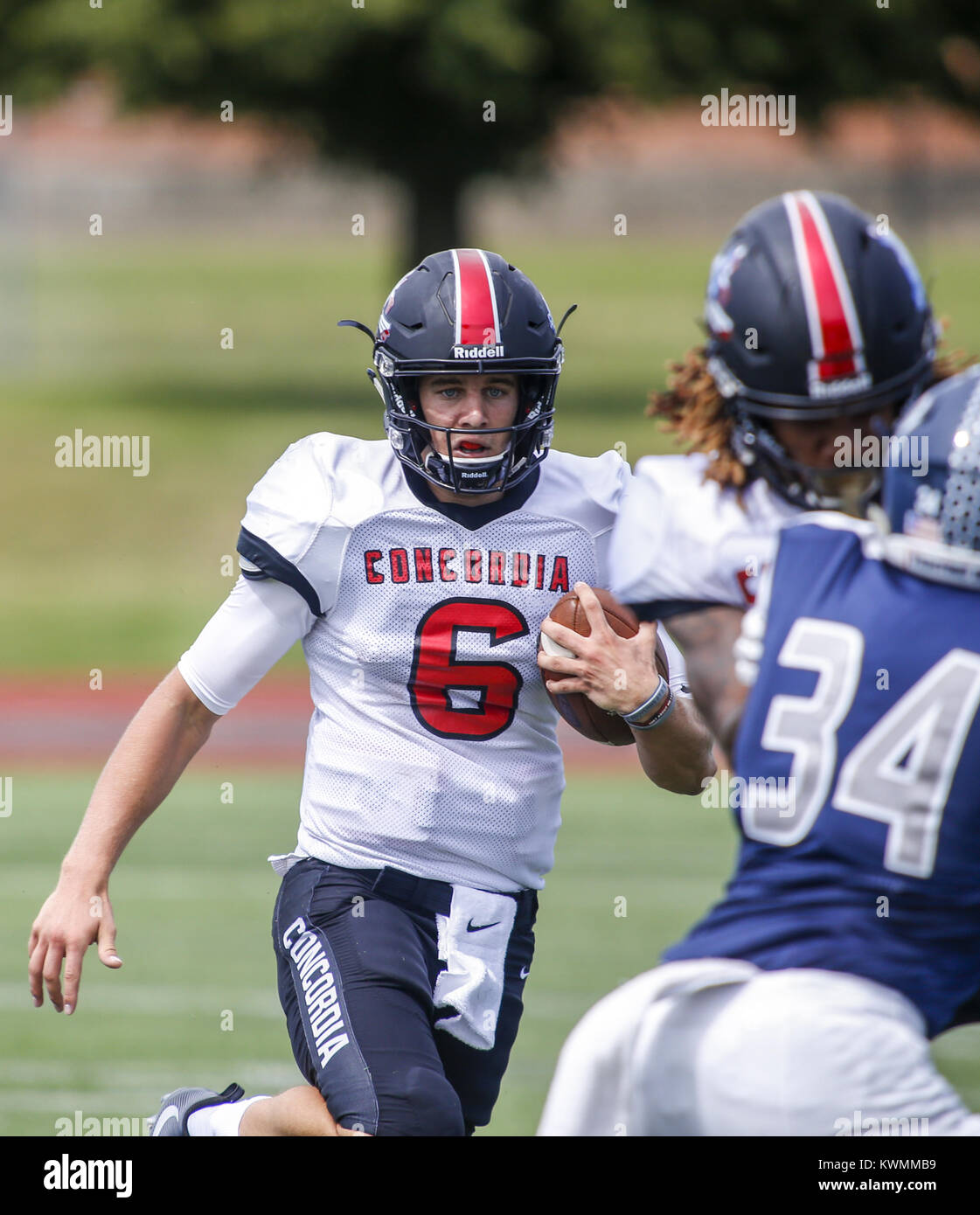 Davenport, Iowa, USA. 3rd Sep, 2016. Concordia quarterback Seth Suida ...