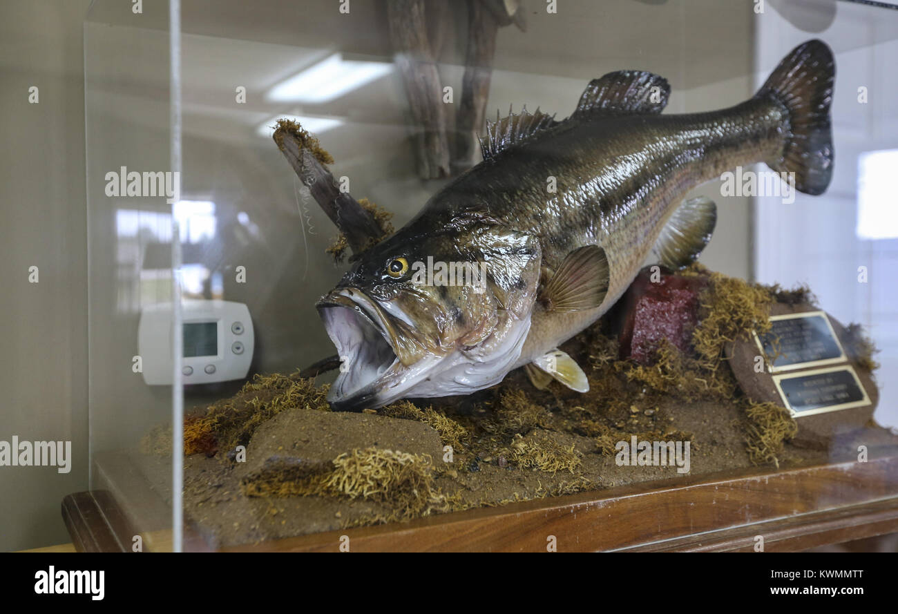 Bettendorf, Iowa, USA. 24th Aug, 2017. The Iowa state record for ...