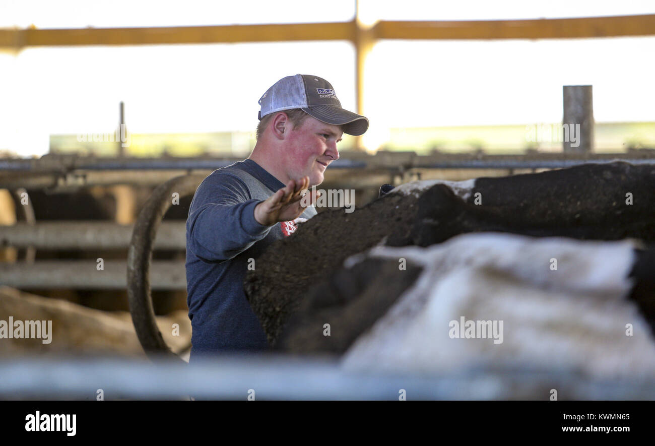 One familys story hi-res stock photography and images - Alamy