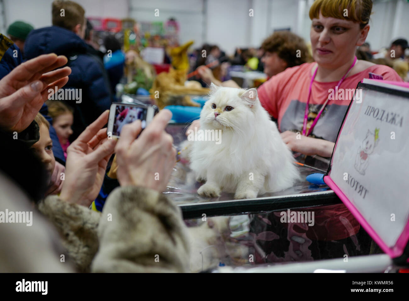 Moscow, Russia. 4th Jan, 2018. A visitor takes photos of a cat during ...